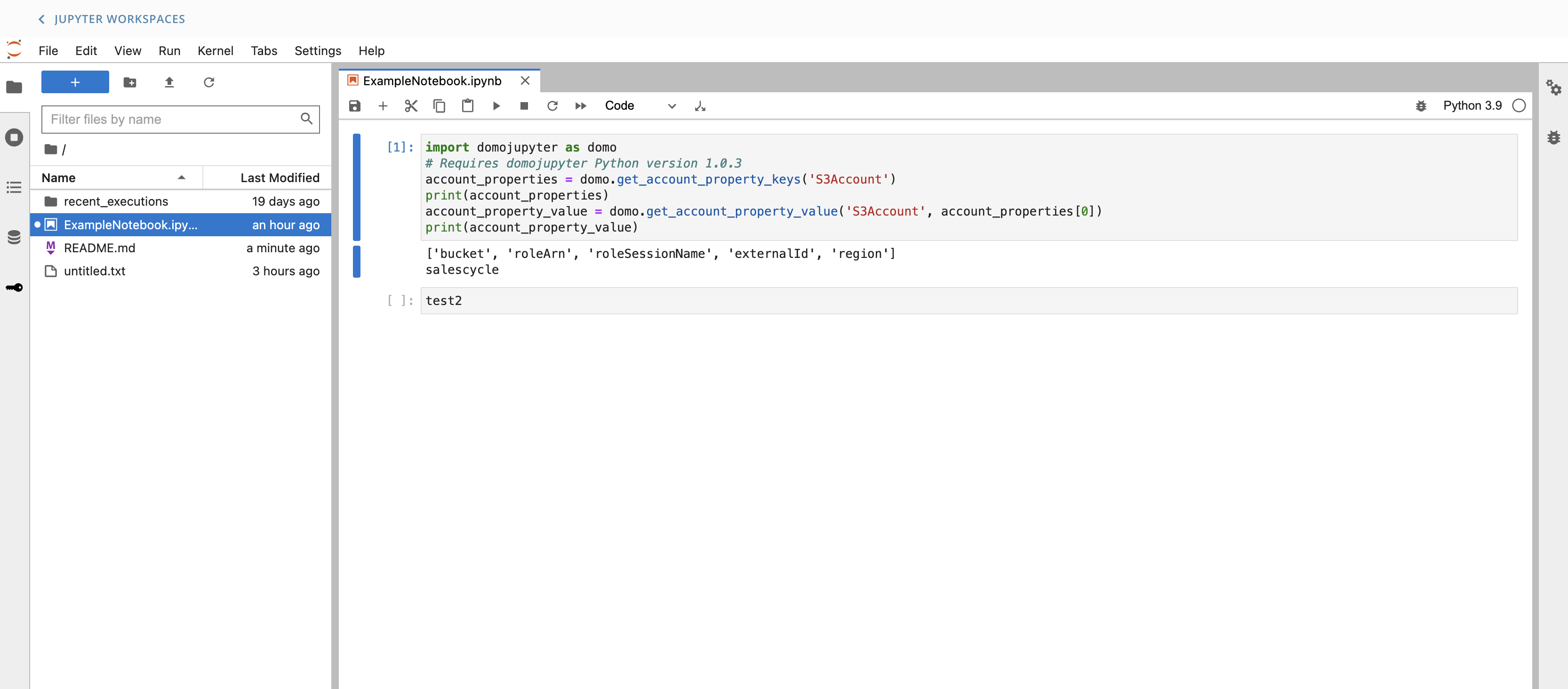 Jupyter Workspaces | User Guide