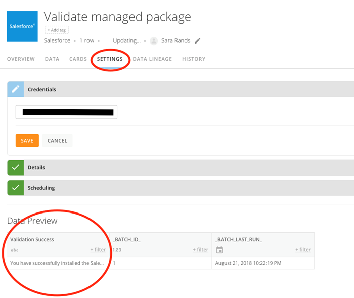 Installing Salesforce's Domo Connector Package