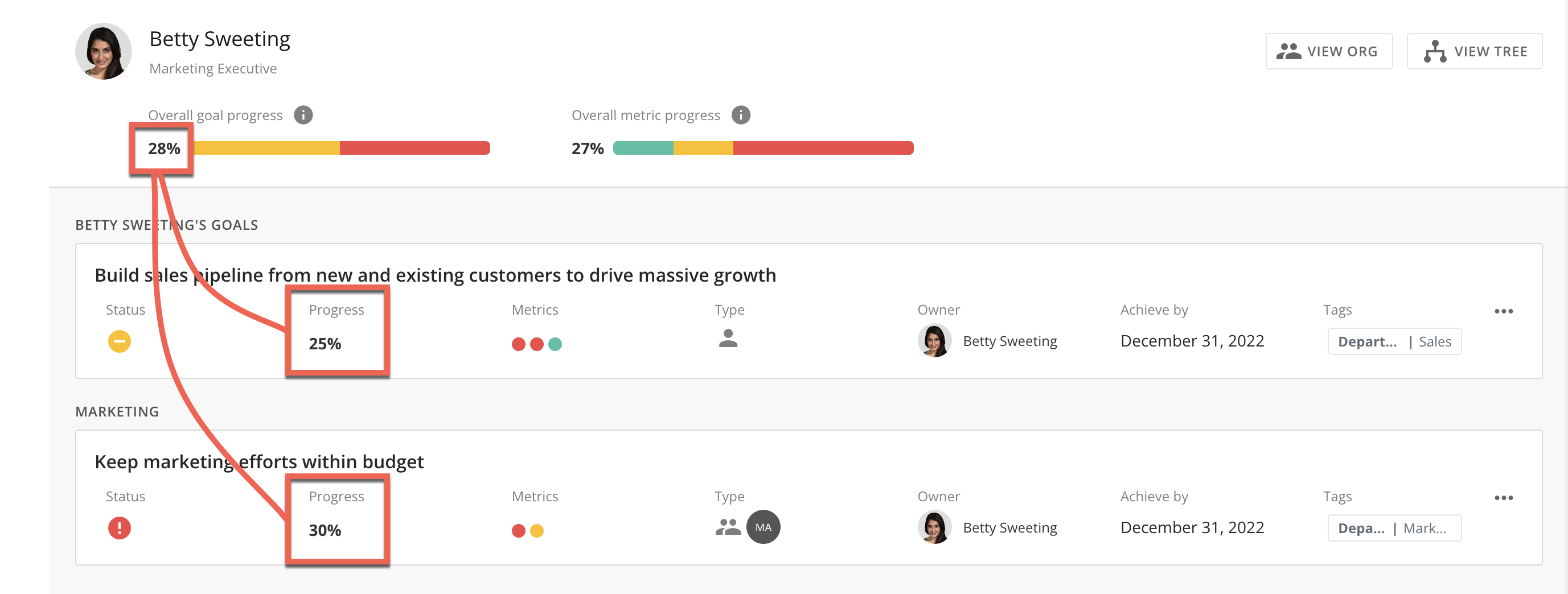 Accessing Goals Data