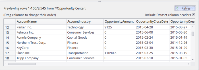 Using the Domo Word Plugin