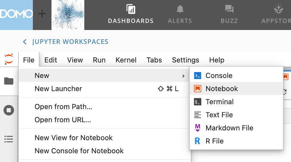 Jupyter Workspaces | User Guide